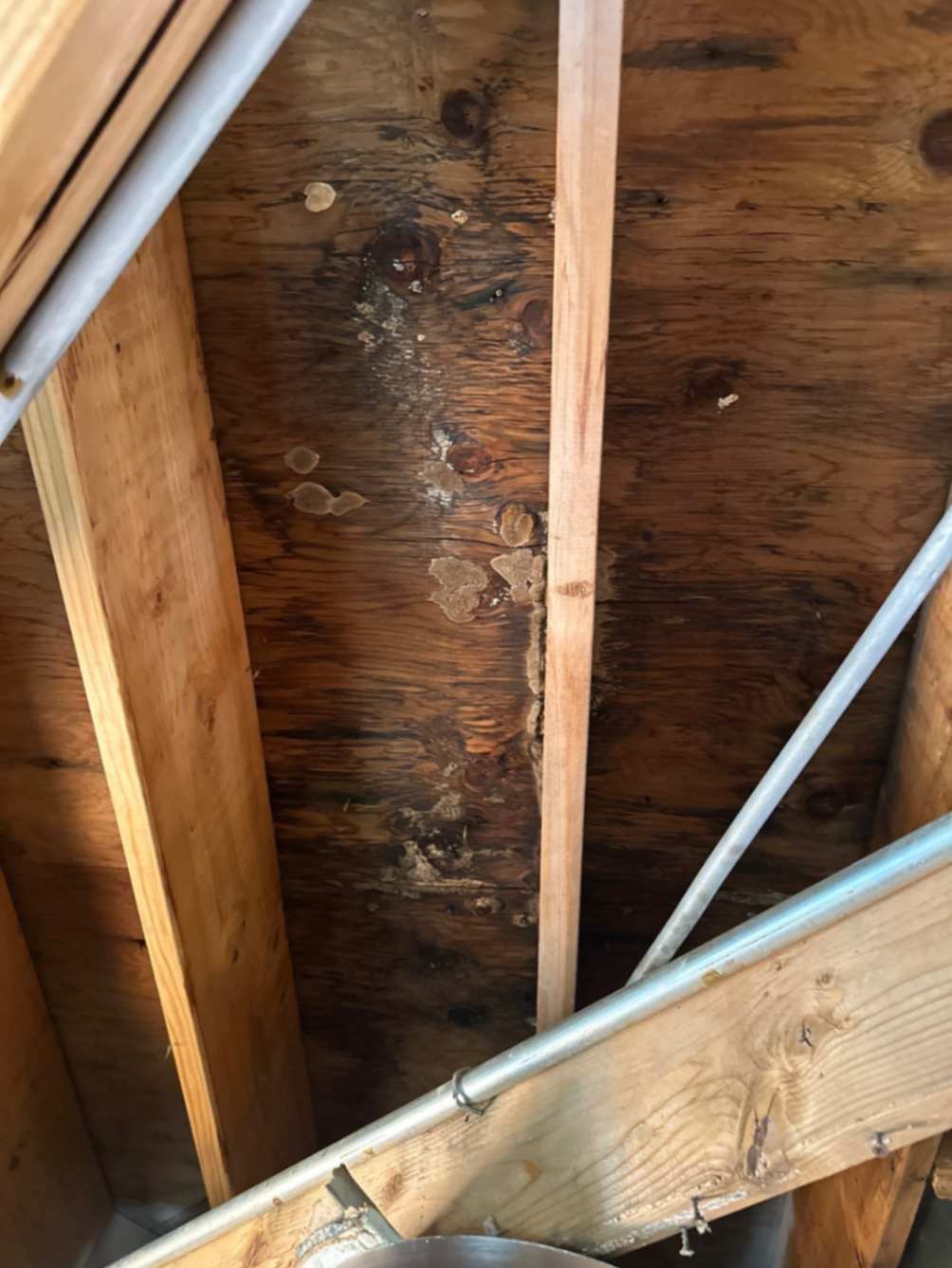 24/7 Water Damage Restoration In Denver CO | Anatom Restoration